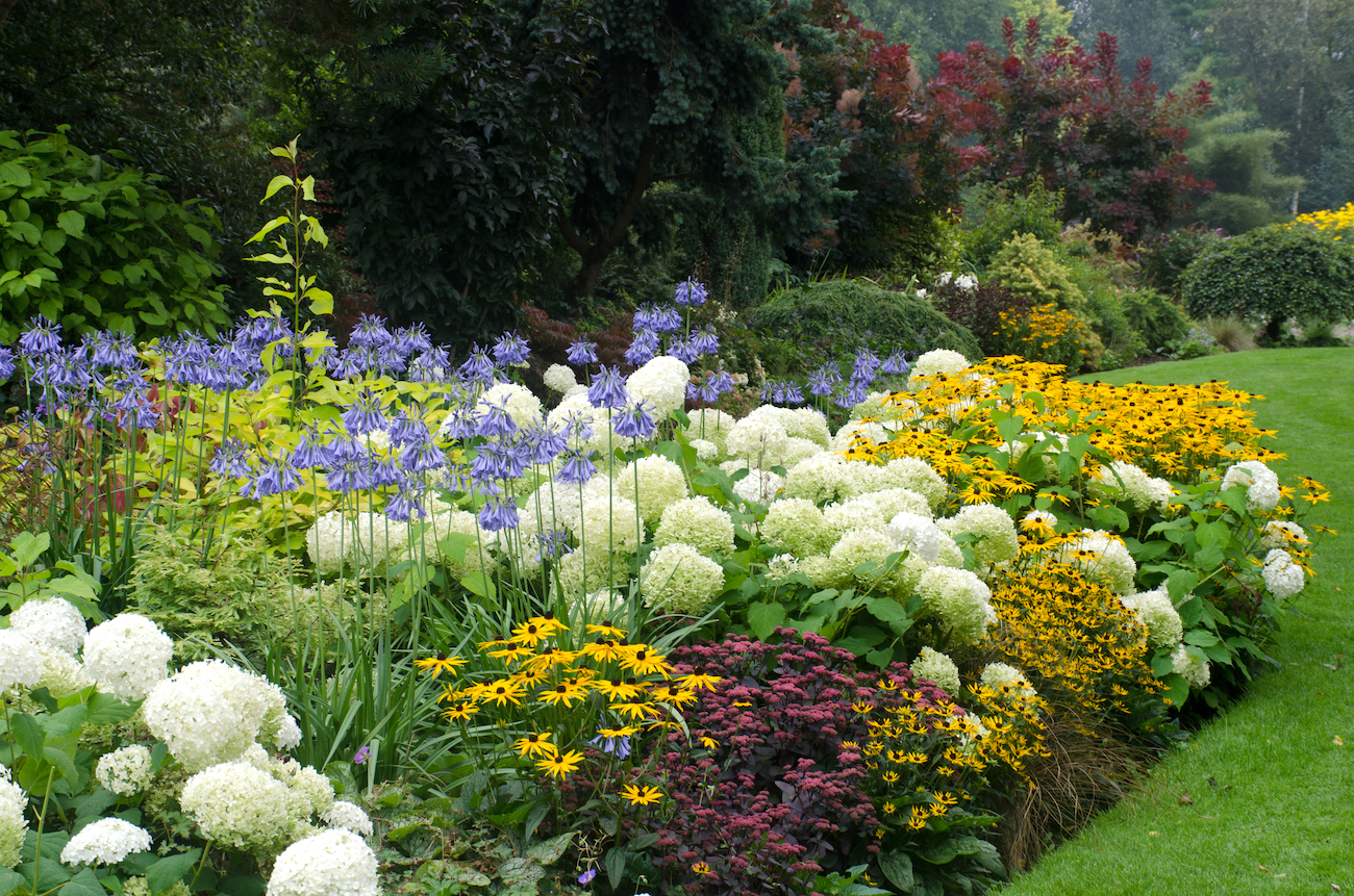 Conseils pour faire pousser des fleurs dans votre jardin - Technospeak