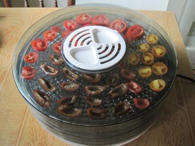 Séchage des fruits et légumes - Technospeak